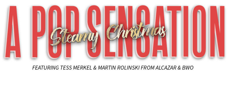 Steamy Christmas - THE STEAM HOTEL